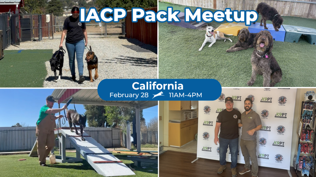 IACP Pack Meetup: California - International Association of Canine ...