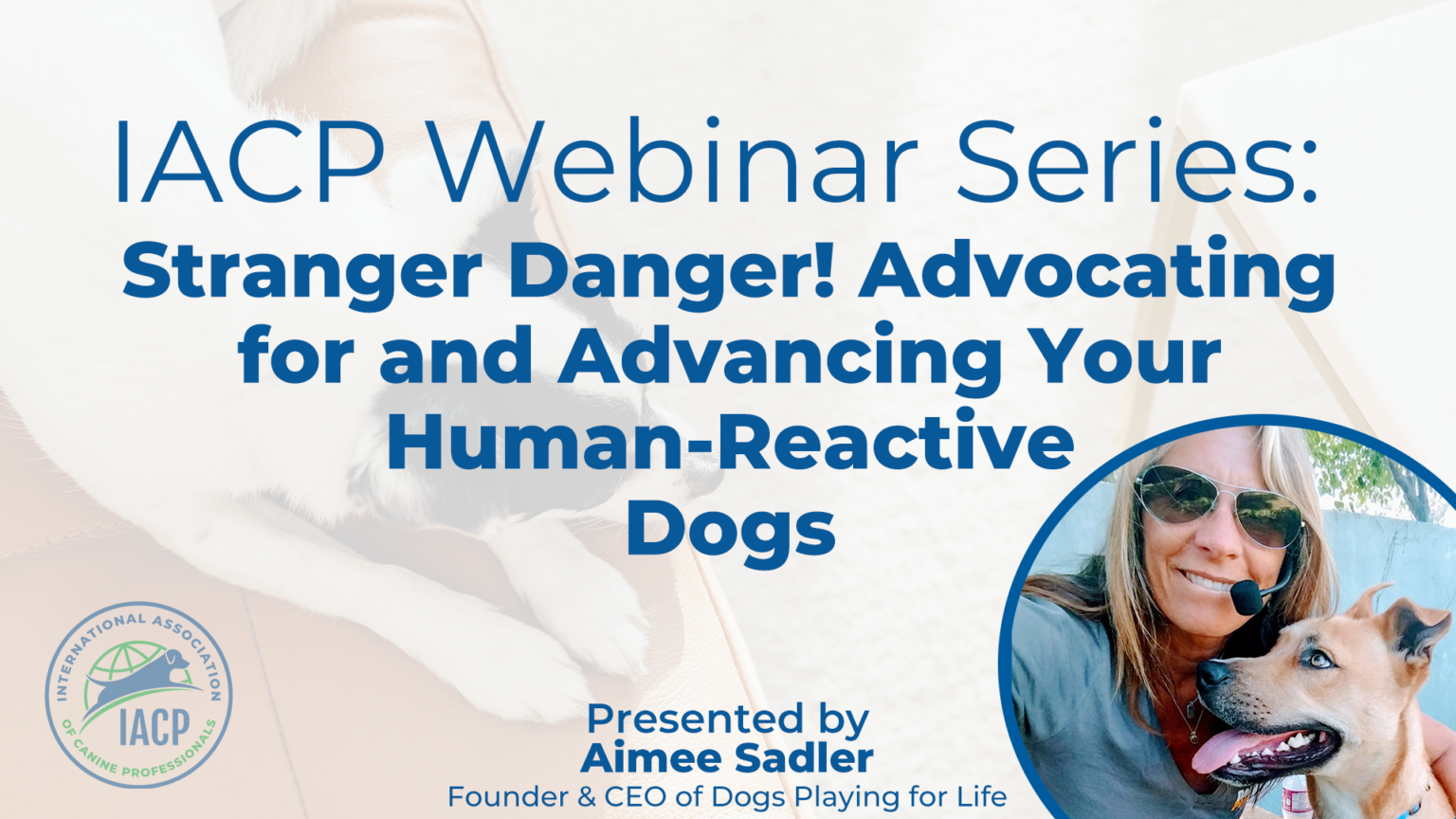 Stranger Danger! Advocating for and Advancing Your Human-Reactive Dogs ...