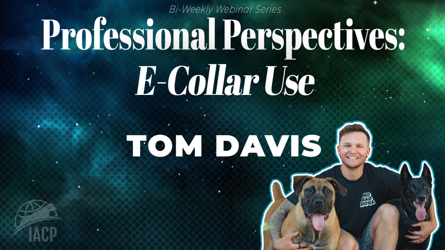 Professional Perspectives: E-collar Use with Tom Davis - International ...